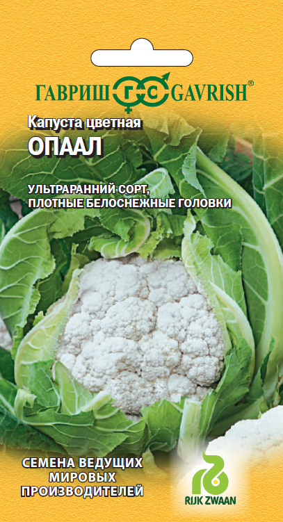 Капуста цветная Опаал 10 шт. (Голландия) - ГАВРИШ ГК